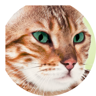 Heidi Bullock - Heidi Bullock - Company news | Hype.News