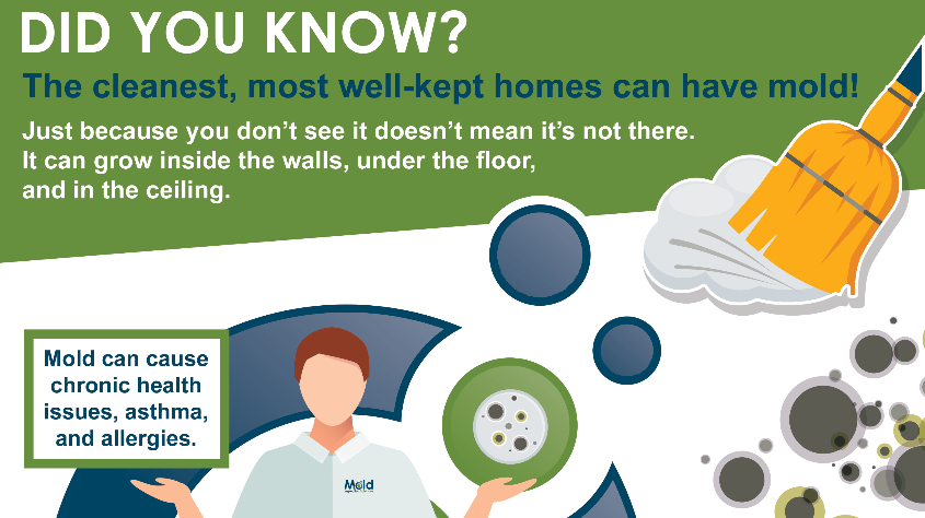 “Finding Mold in a New Home” Infographic Demonstrates How to Check for ...